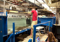 Putting Hydrodynamics Research to Work for Fish | Graham Sustainability ...
