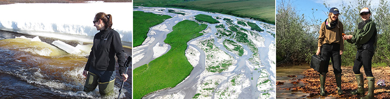 From Arctic to Algae: An Interview with Professor Rose Cory | Graham ...